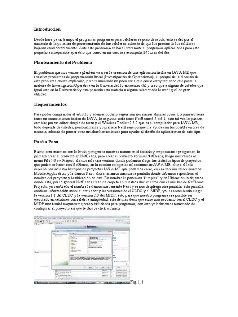 Introducción | PDF | Java (lenguaje de programación) | Frijoles Netos