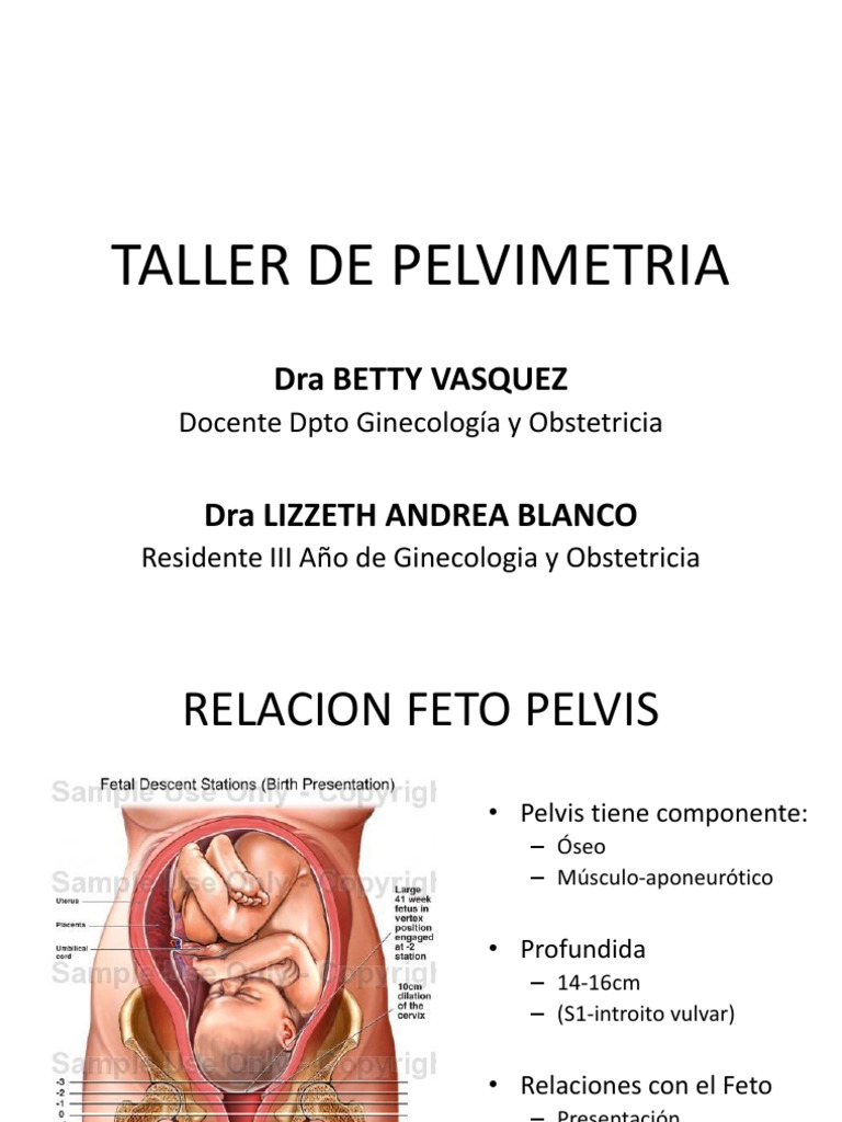 07 Taller Pelvimetria | PDF | Pelvis | Sistema esquelético
