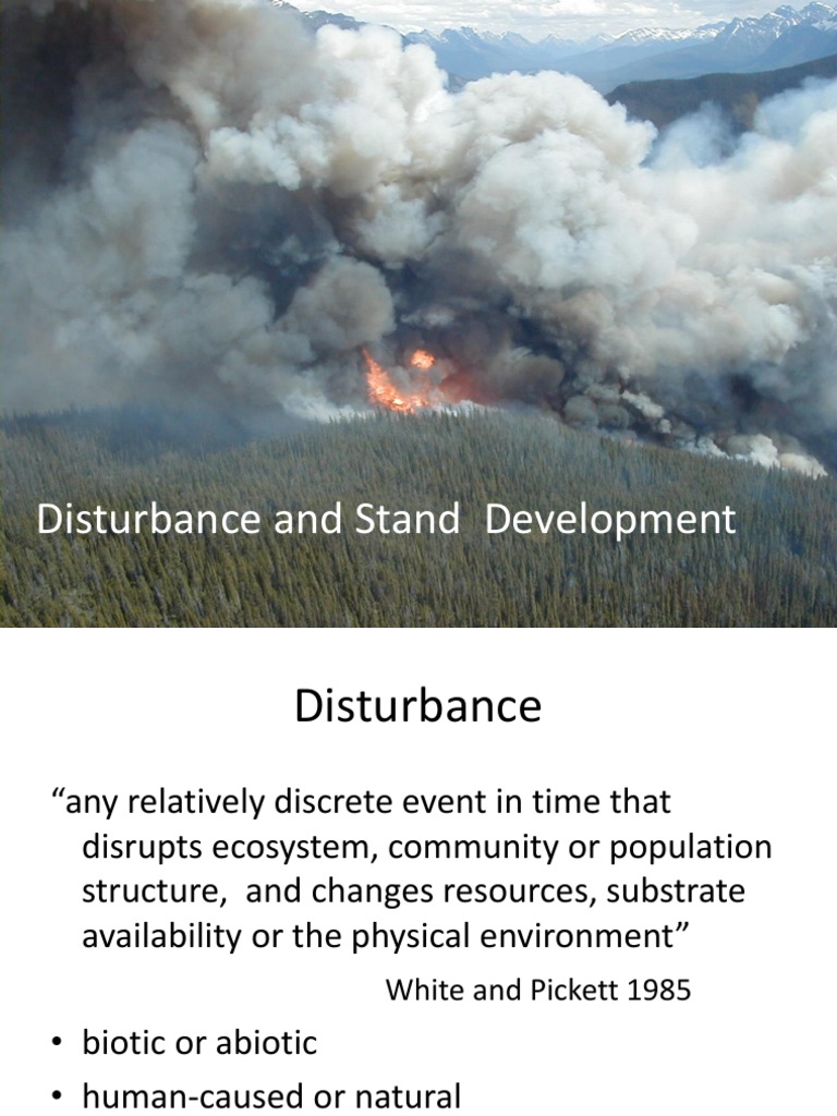 Stand Dynamics Sept 9 CP | PDF | Disturbance (Ecology) | Forests
