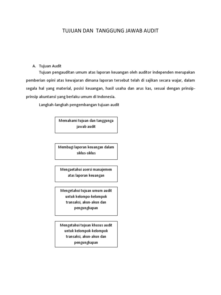 Tujuan Dan Tanggung Jawab Audit | PDF