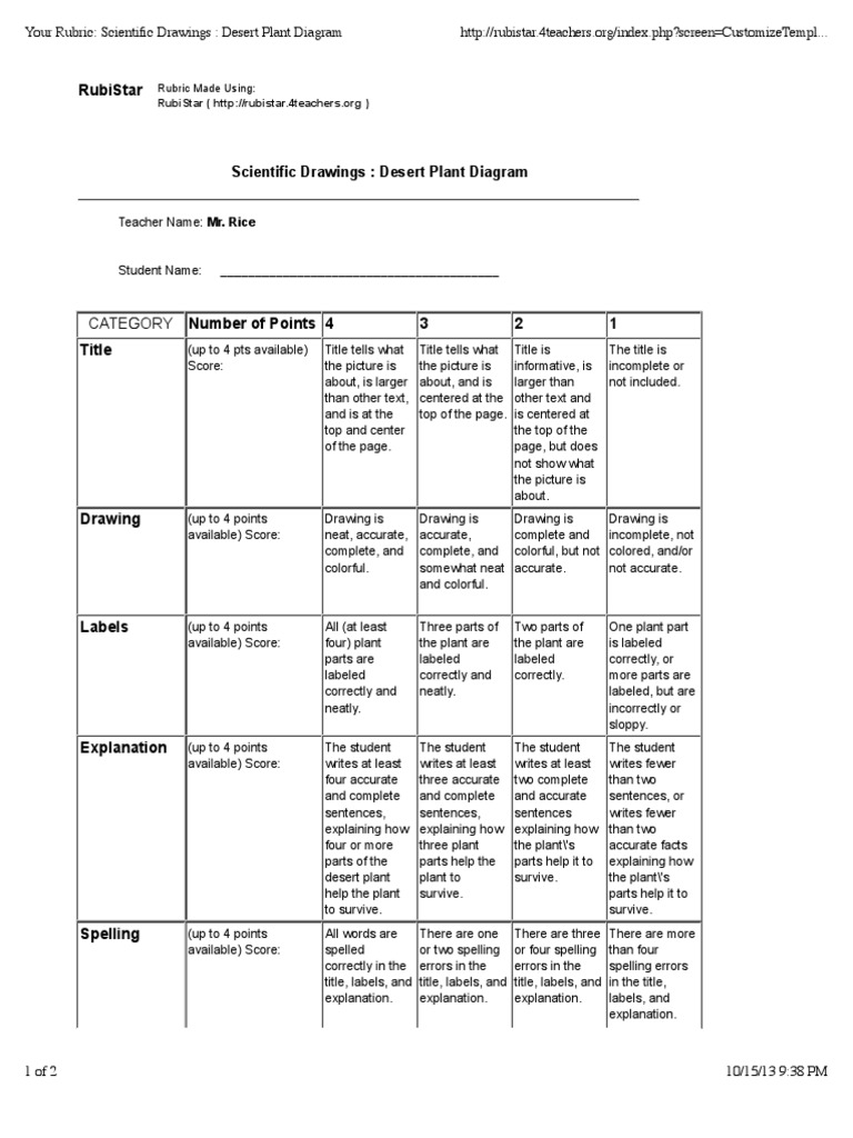 Your Rubric_ Scientific Drawings _ Desert Plant Diagram | Rubric ...