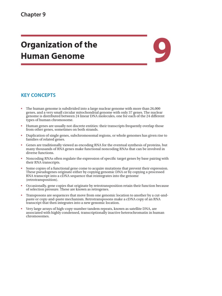 Organization and Genes of the Human Genome | PDF | Human Genome | Gene