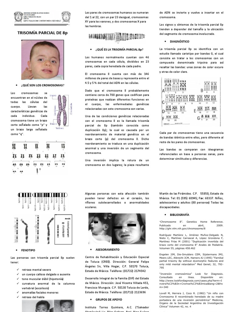 TRISOMÍA PARCIAL DE 8p | PDF | Cromosoma | Genética