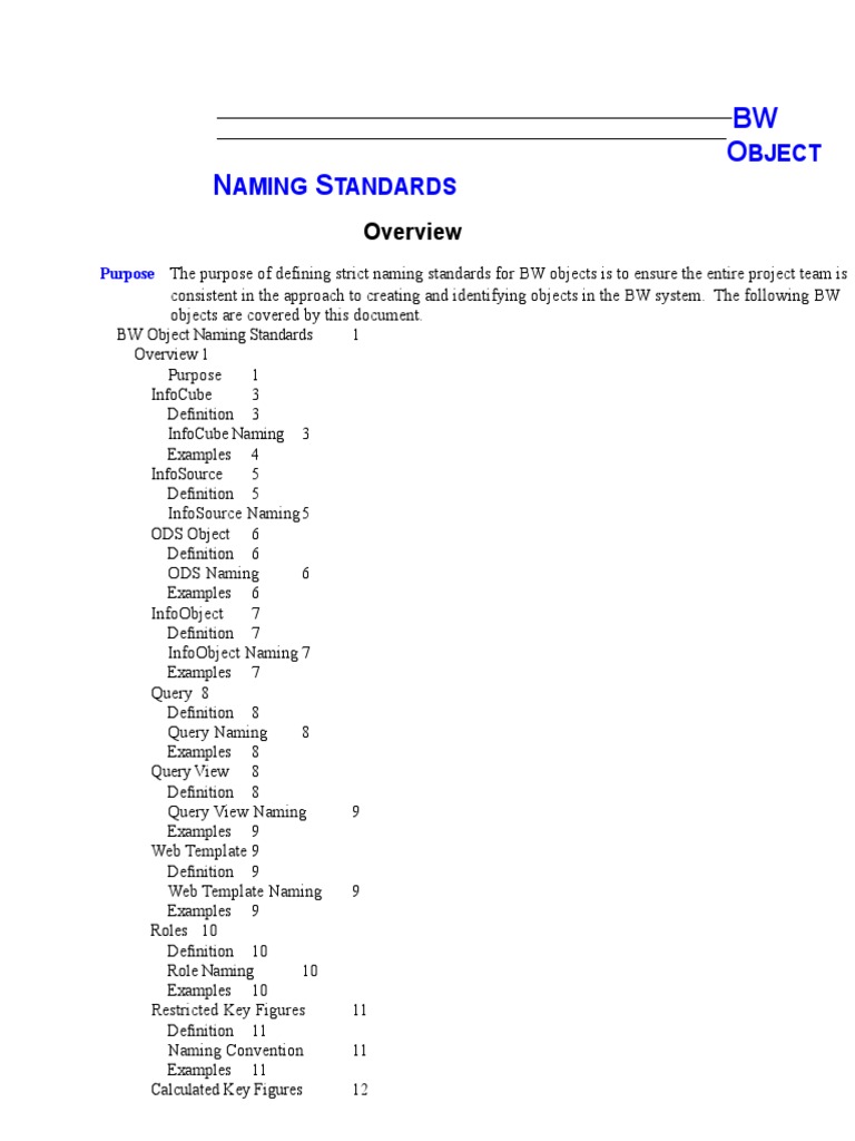 BW Object Naming Standards Guide | PDF | Object (Computer Science ...