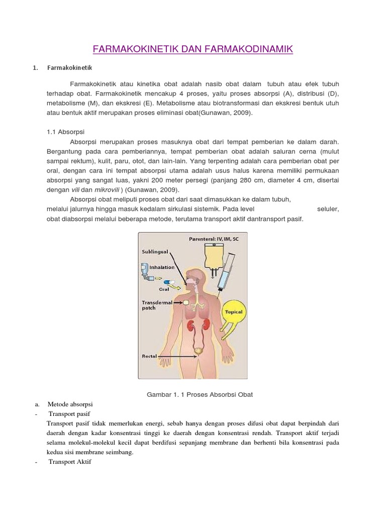 Farmakokinetik Dan Farmakodinamik | PDF