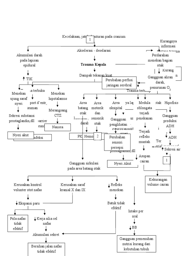 Pathway Trauma Kepala | PDF