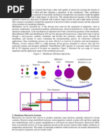 Usp 1229.4 | PDF | Filtration | Sterilization (Microbiology)