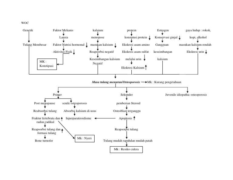 Woc Osteoporosis | PDF