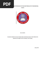 The Singapore Fire Code | PDF | Fire Safety | Fire Sprinkler System