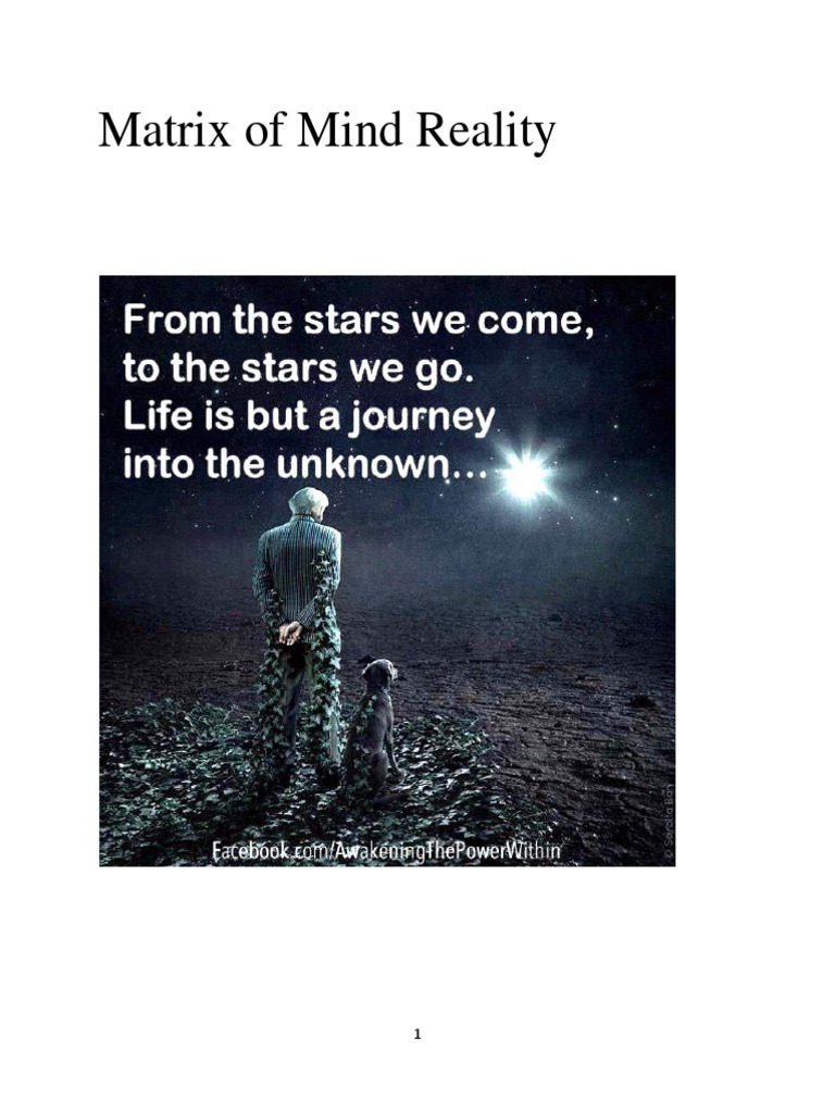 Matrix of Mind Reality | PDF | Consciousness | Reality