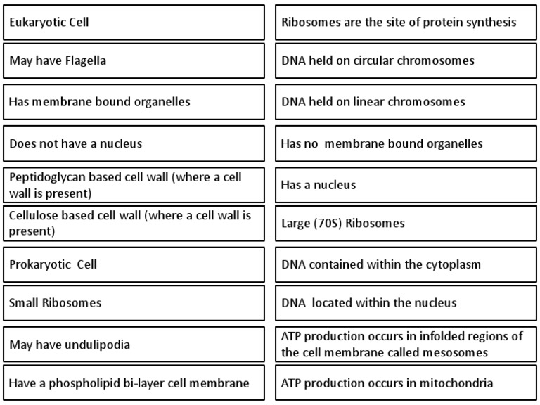 Card Sort | PDF