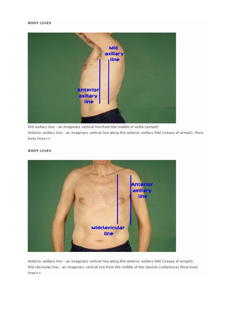 Anterior Axillary Line