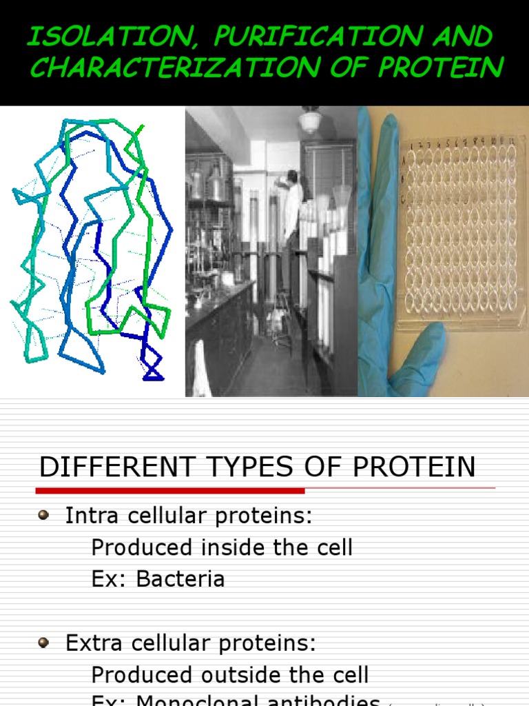 Isolation, Purification and Characterization of Proteins | Download ...