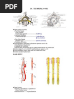 Anatomy of The Rat The Nervous System | PDF | Human Nose | Vertebral Column