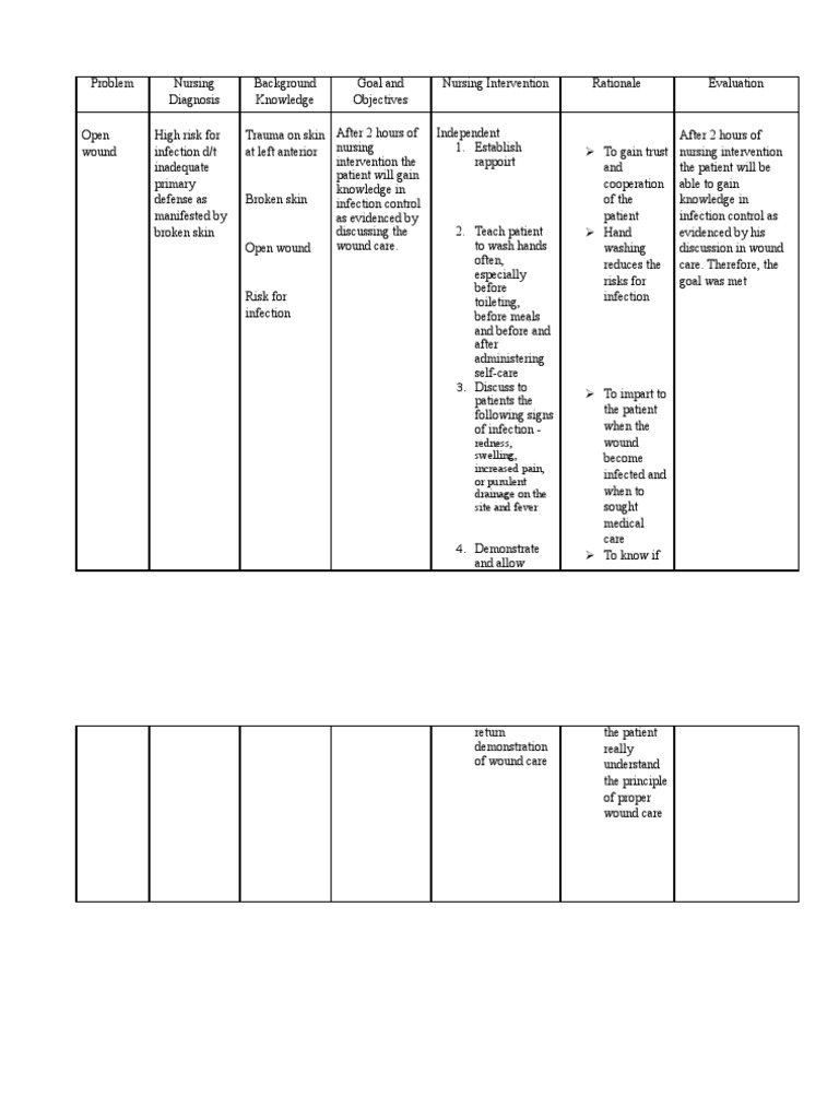NCP Risk For Infection | PDF | Wound | Infection