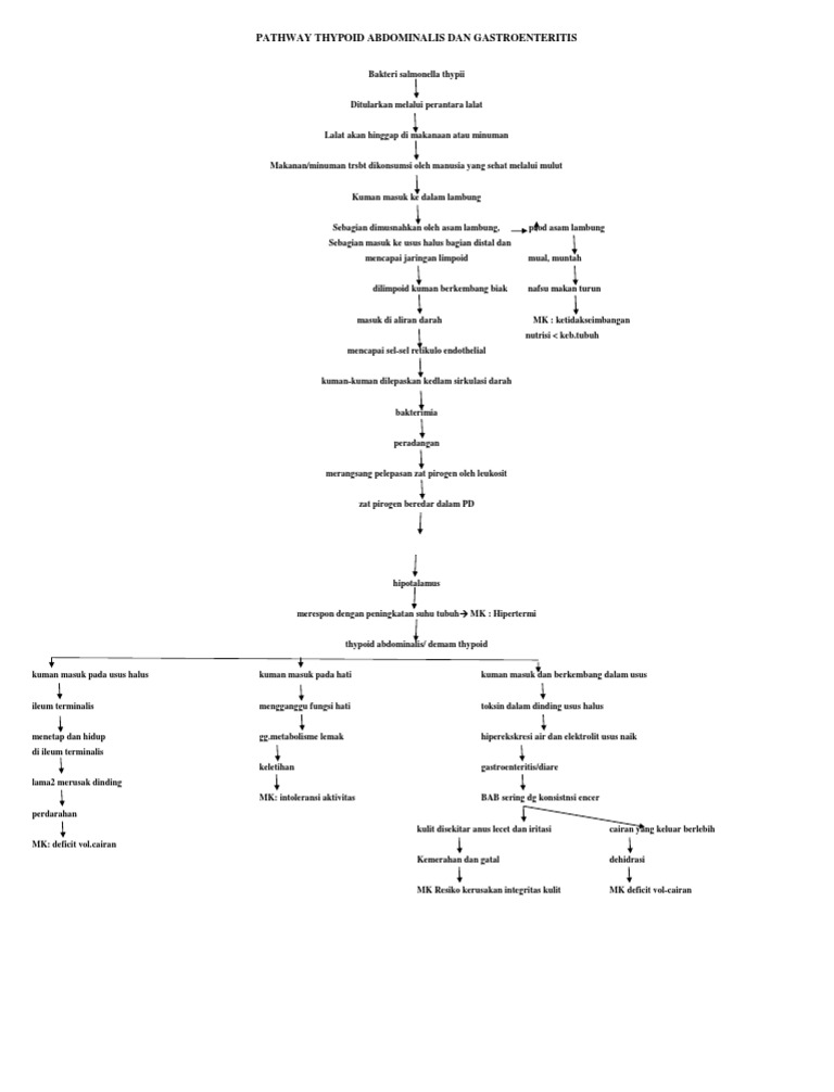 Pathway Thypoid Abdominalis Dan Gastroenteritis | PDF | Kesehatan Holistik