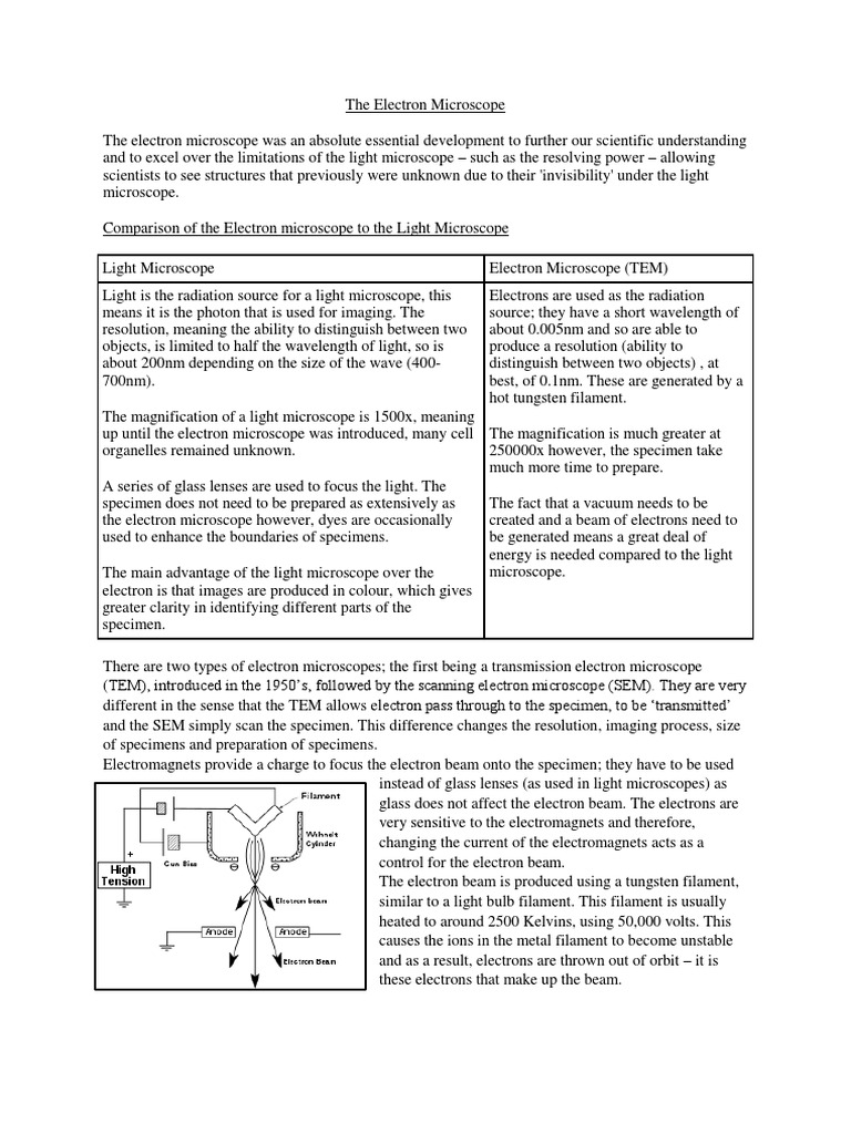 The Electron Microscope Essay | PDF | Transmission Electron Microscopy ...