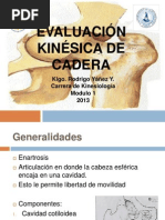 Prueba de Adams | PDF | La columna vertebral | Escoliosis