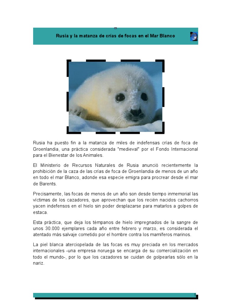 Rusia y La Matanza de Crías de Focas | PDF | Rusia | Política mundial