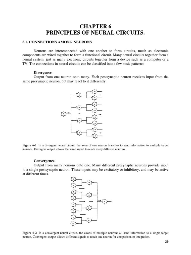 Principles of Neural Circuits | PDF | Biological Neural Network | Neuron