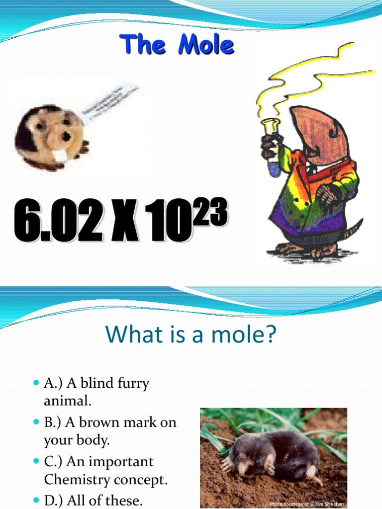 Understanding the Mole in Chemistry | PDF | Mole (Unit) | Potassium