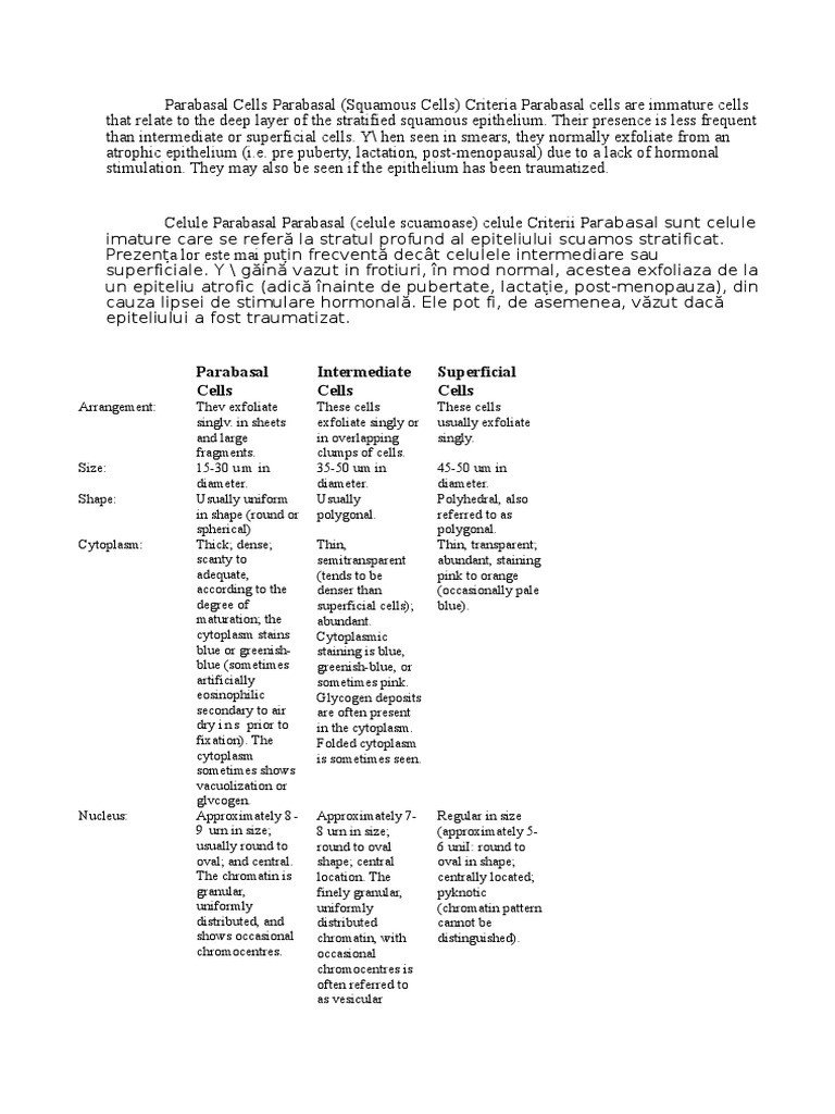 Parabasal Cells Intermediate Cells Superficial Cells | PDF | Epithelium ...