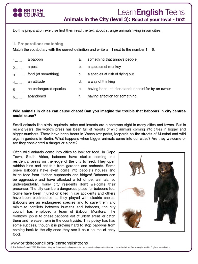 Animals in The City Level B2 Level Exercise | PDF | Dogs | Animals And ...