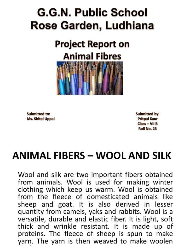 Animal Fibers: Wool and Silk Overview | PDF | Wool | Silk