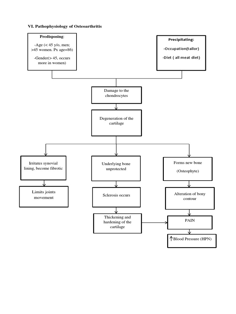 Pathophysiology of Osteoarthritis | PDF