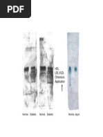 Lyphochek Assayed Chemistry Control Levels 1 and 2 | PDF | Magnesium ...