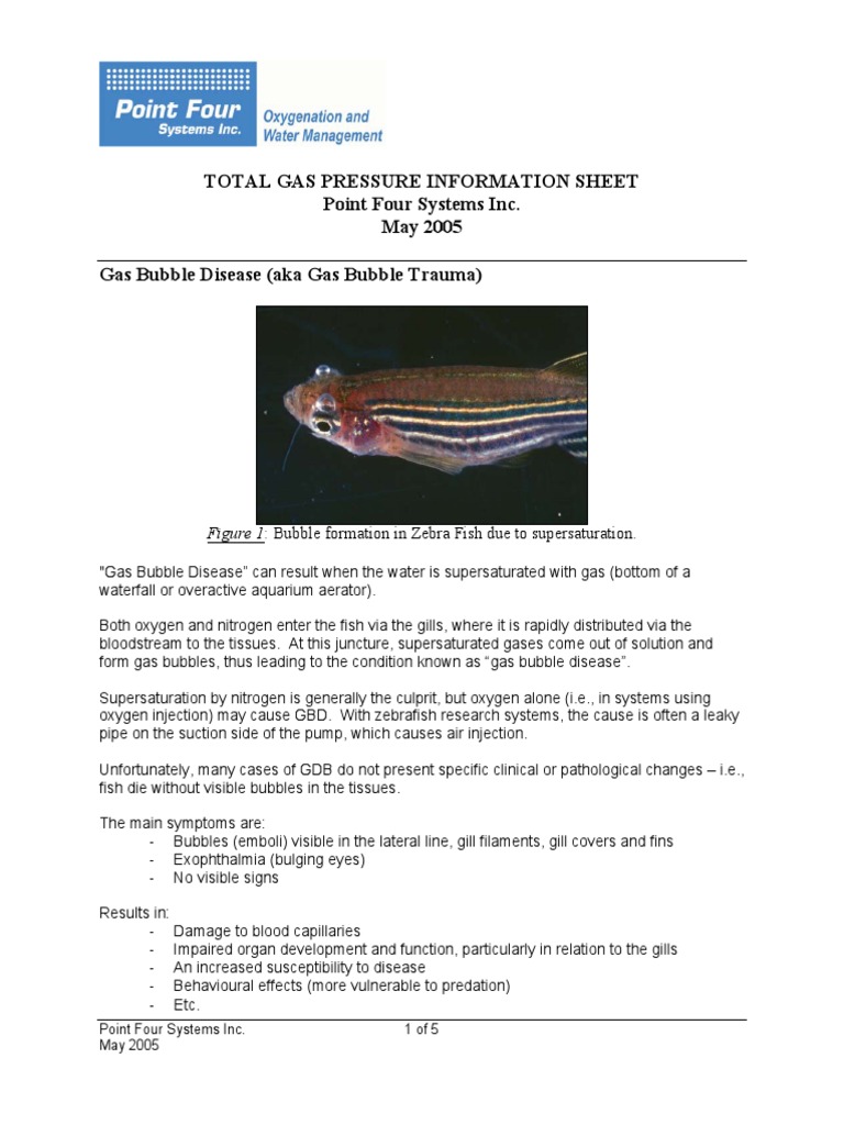 Total Gas Pressure Information Sheet | Download Free PDF | Pressure | Gill
