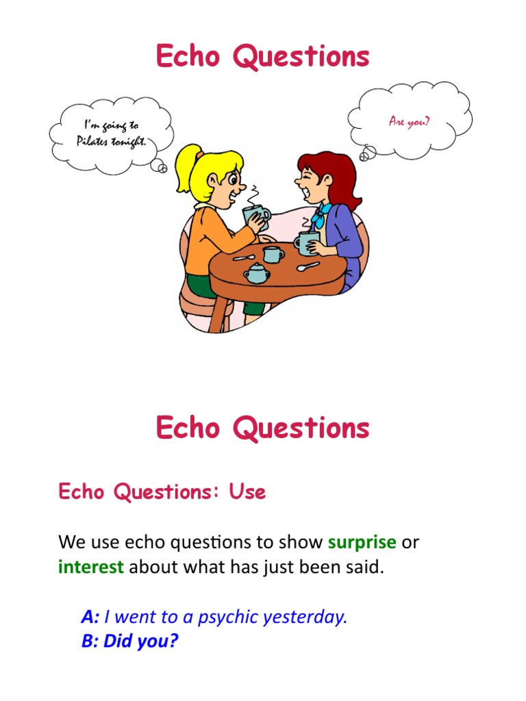 echo questions.pdf | Grammatical Conjugation | Languages