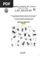 Ciclo de vida y reproducción de arañas | PDF | Araña | Huevo