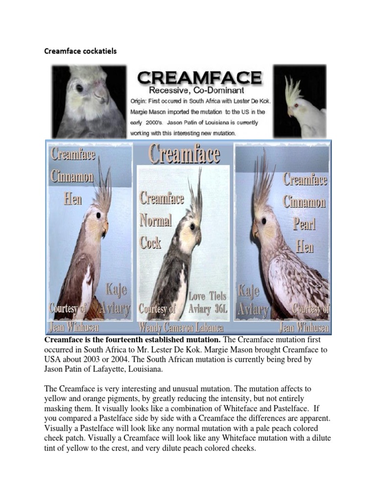 Cockatiel Color Chart