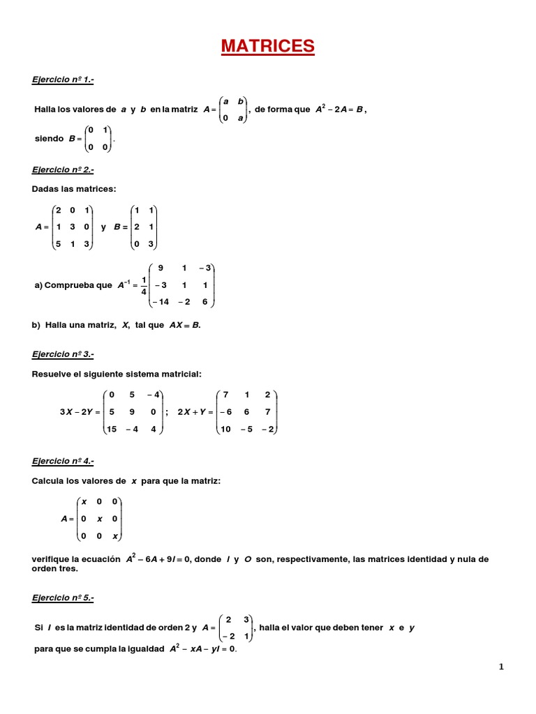 Matrices Ejercicios Resueltos | PDF | Matriz (Matemáticas) | Álgebra