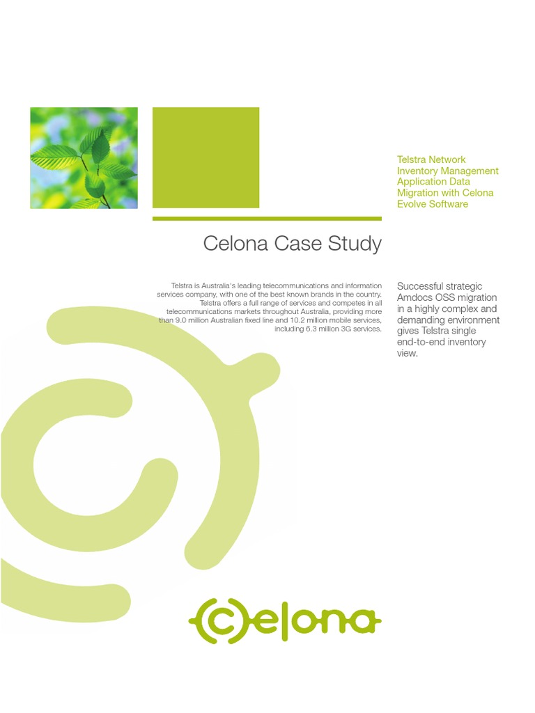 Celona Telstra Case Study Issue - Detailed | PDF | Inventory | Data Quality