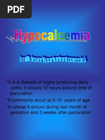 Ross 308 Broiler Performance Objectives 2012 | PDF | Poultry | Broiler