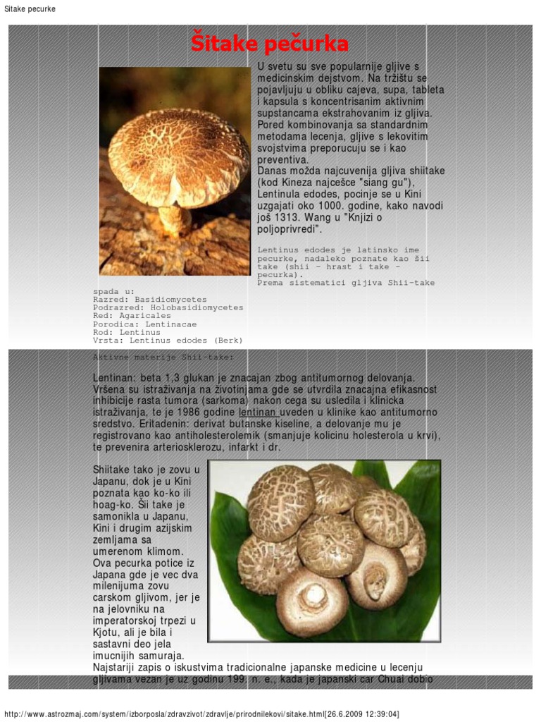 Sitake Pecurke | PDF