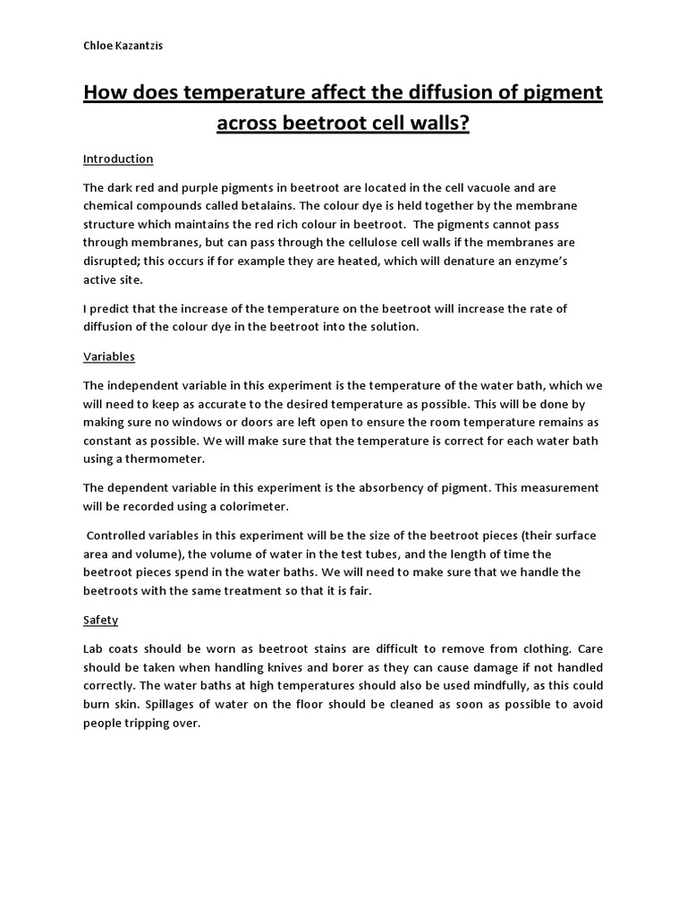 Effect of Temperature on Beetroot Diffusion | PDF | Experiment | Membrane