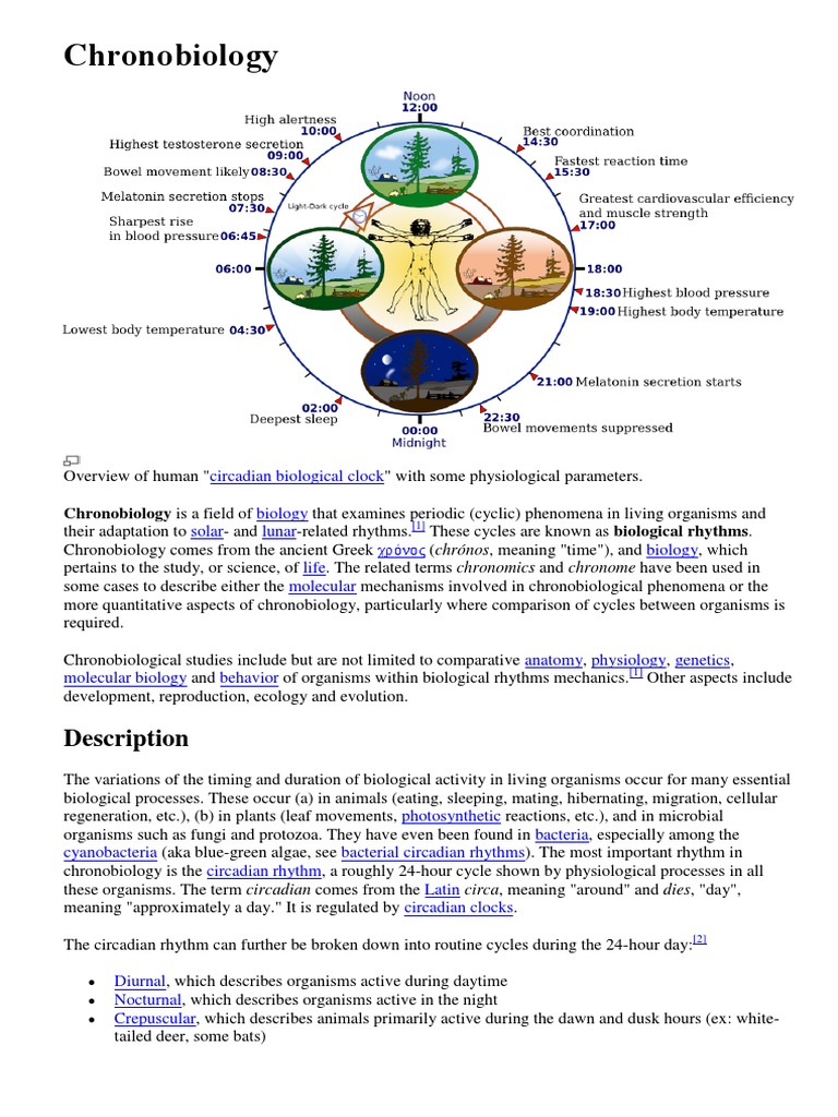 An Overview of the Human Circadian Biological Clock and Chronobiology ...