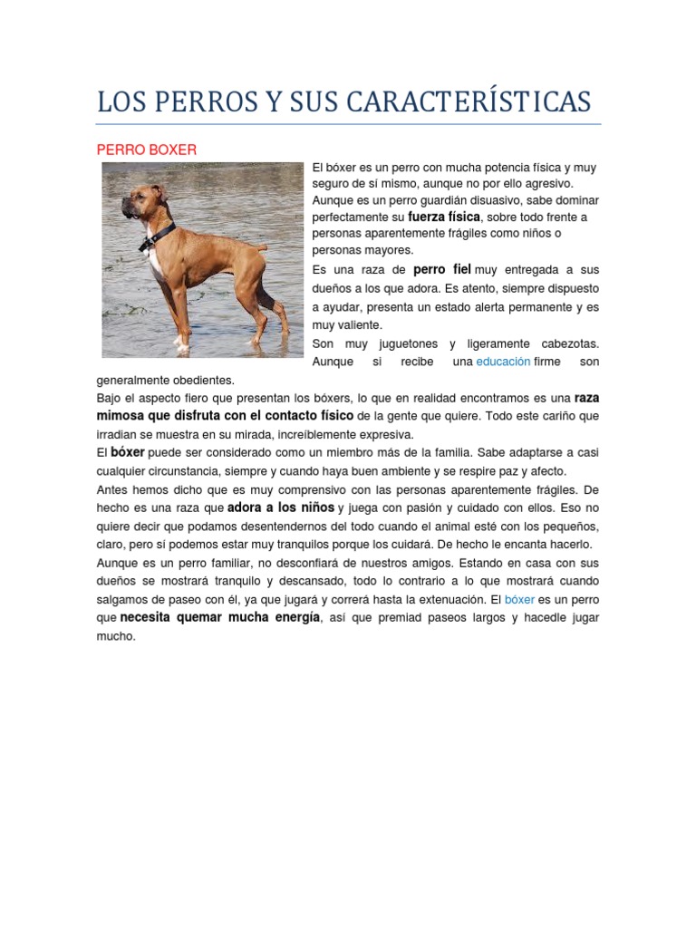 Perros y Su Características | PDF | Pastor alemán | Boxer (Perro)