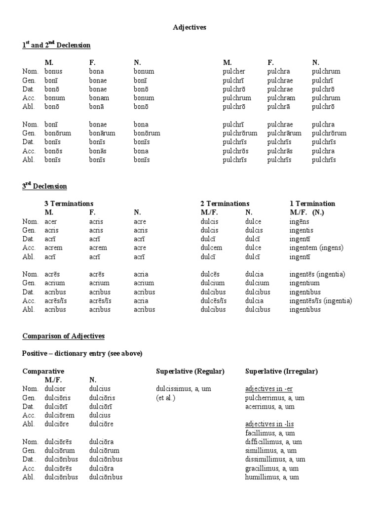 Latin Adjective Declensions Guide | PDF