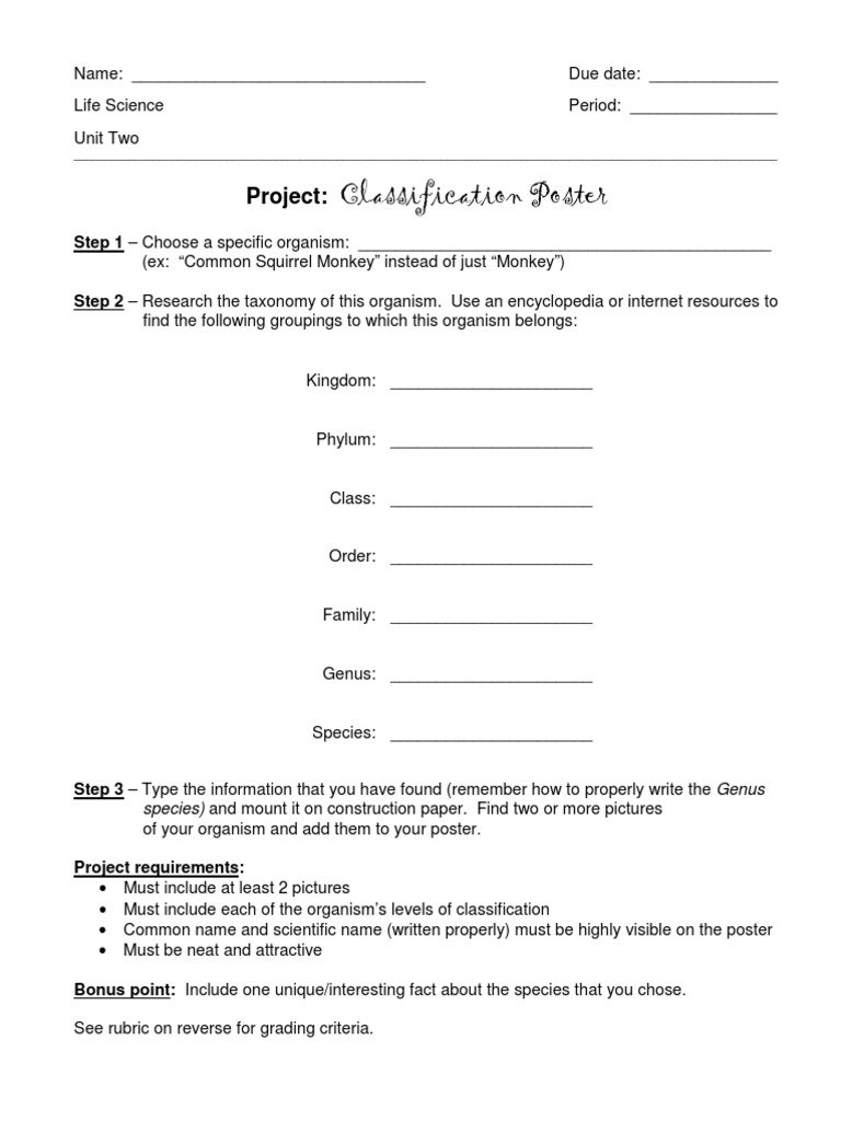 Classification Poster Project | PDF | Taxonomy (Biology) | Science