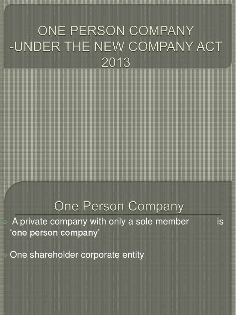 One Person Company | PDF