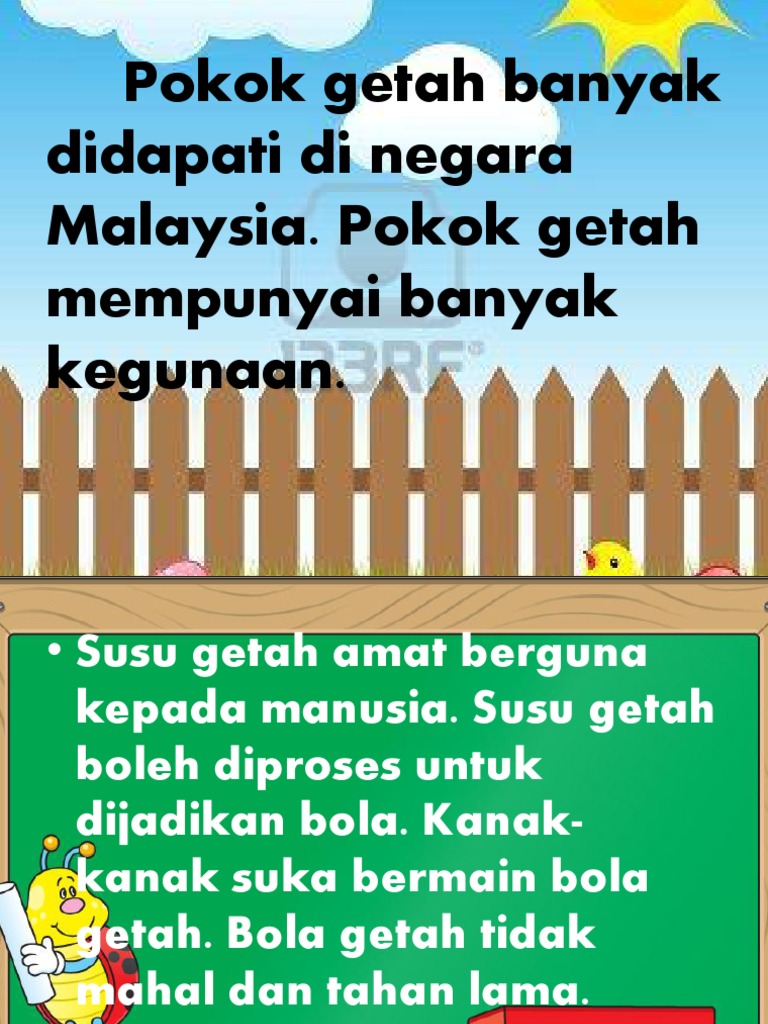 Pokok Getah | PDF