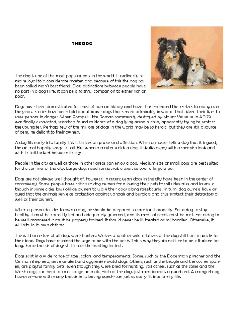 Dogzilla-Dog Nonfiction Sheet | PDF | Dog Breeds | Dogs