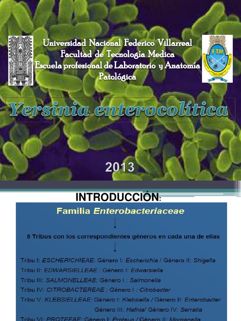 Yersinia Enterocolitica Pdf Microbiología Especialidades Medicas