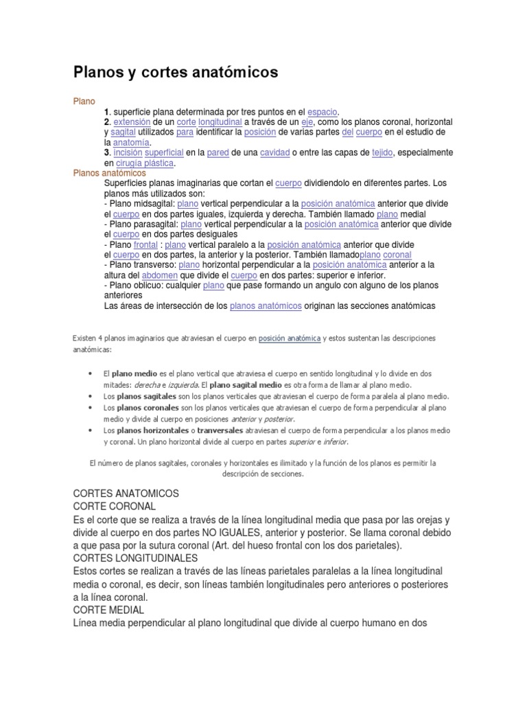 Los planos anatómicos y cortes: herramientas fundamentales para la ...