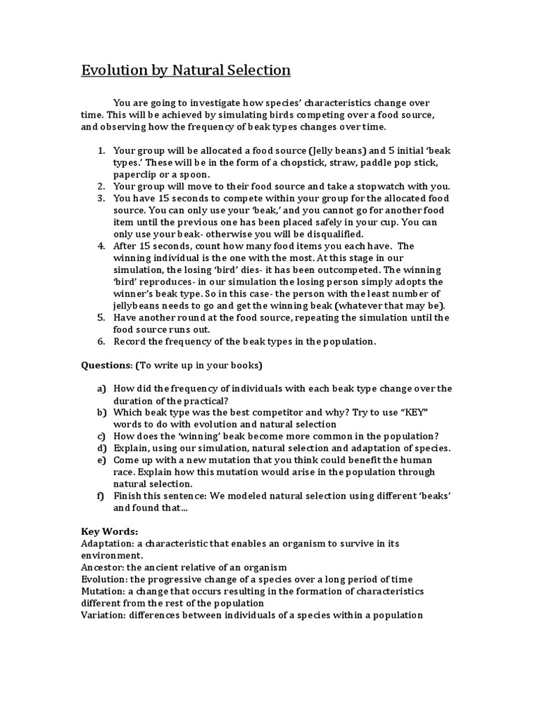 Evolution Simulation for Students | PDF