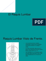 Anatomía de la Columna Sacra y Lumbar | PDF | La columna vertebral ...